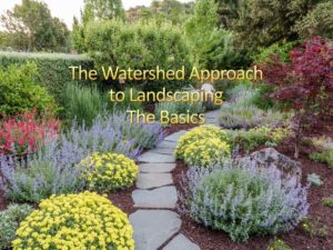 Education | G3, Green Gardens Group