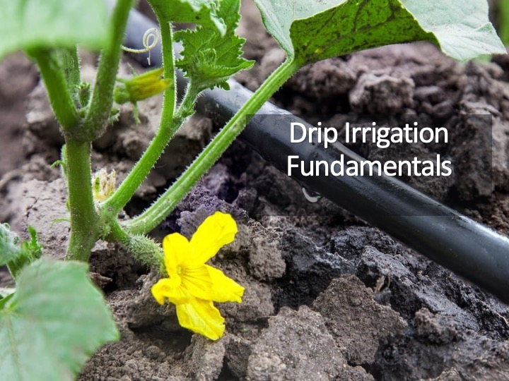 Education | G3, Green Gardens Group