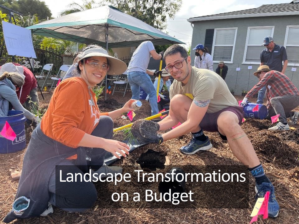 Transformations On A Budget - G3, Green Gardens Group