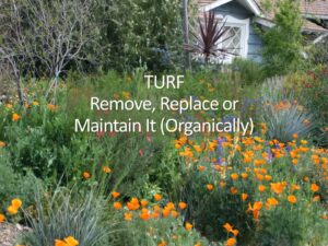 Education | G3, Green Gardens Group