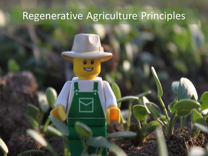 Regenerative Agriculture Training - G3, Green Gardens Group