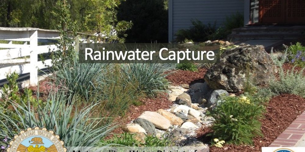 MWD Rainwater Capture | G3, Green Gardens Group