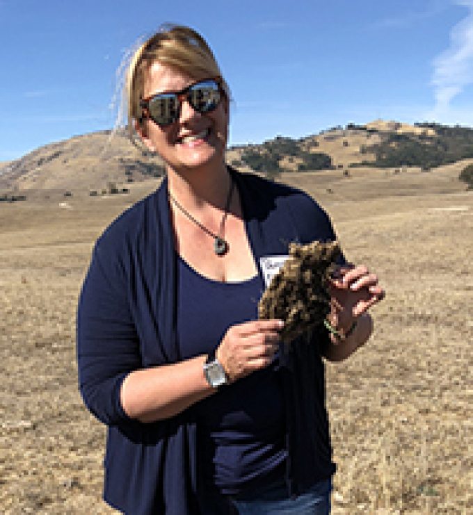 Pamela Berstler | G3, Green Gardens Group