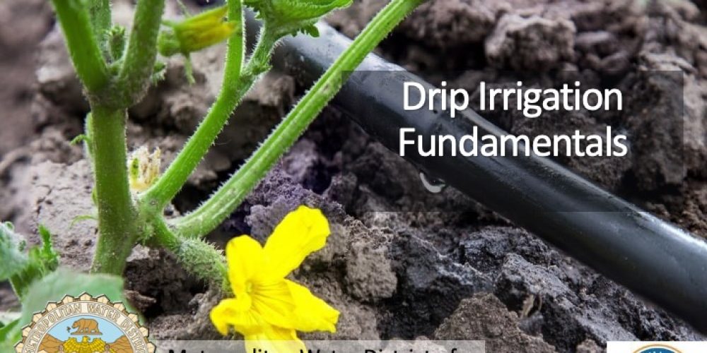 MWD Drip Irrigation Class | G3, Green Gardens Group