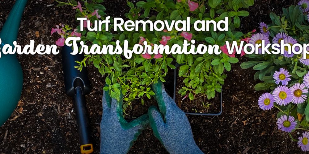 Turf Removal Garden Transformation and Goodbye Grass Workshops | G3 ...