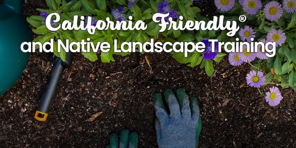 MWD CA Friendly Native Plant Landscape Training | G3, Green Gardens Group